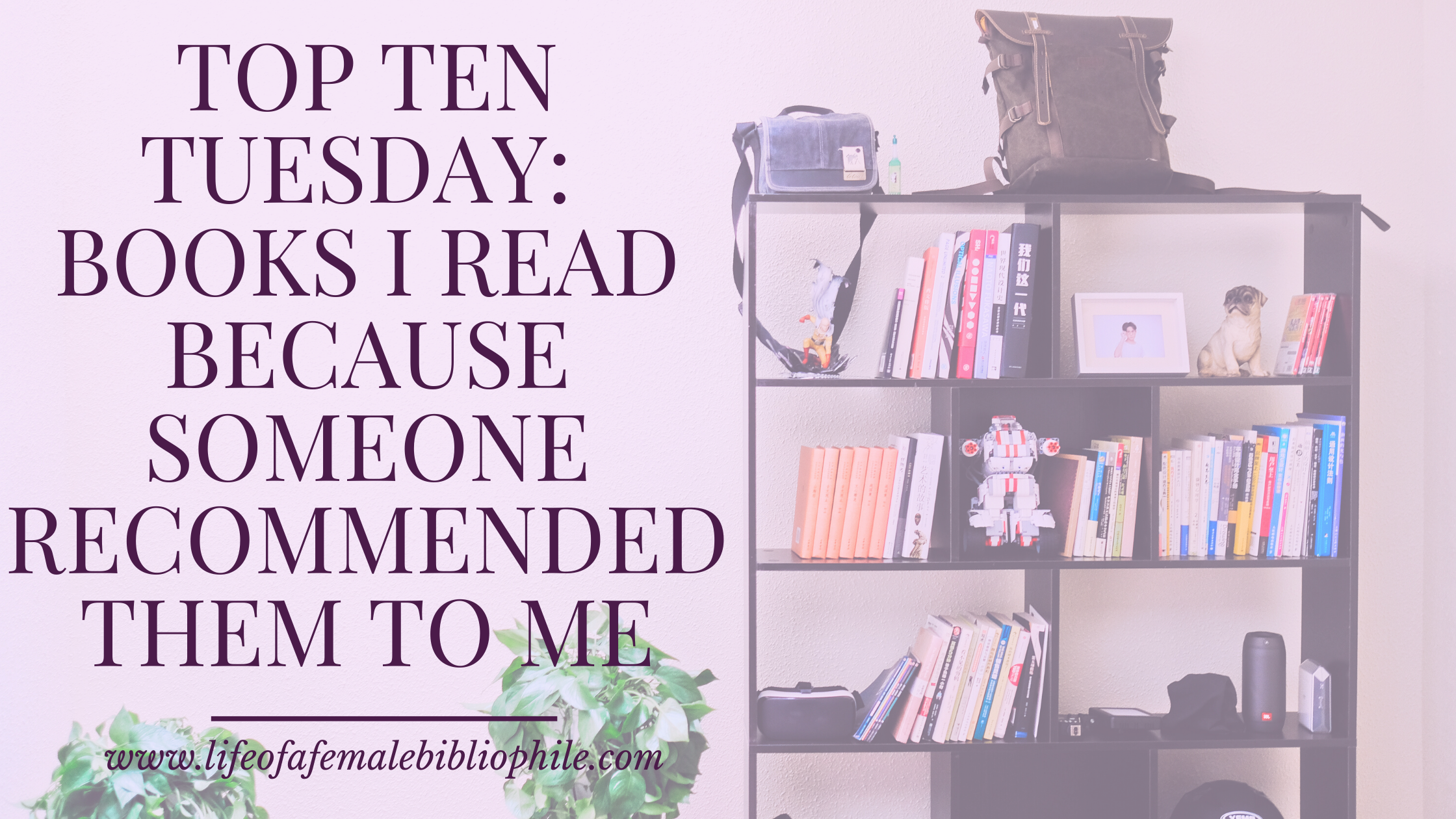 Top Ten Tuesday: Books I Read Because Someone Recommended Them to Me ...
