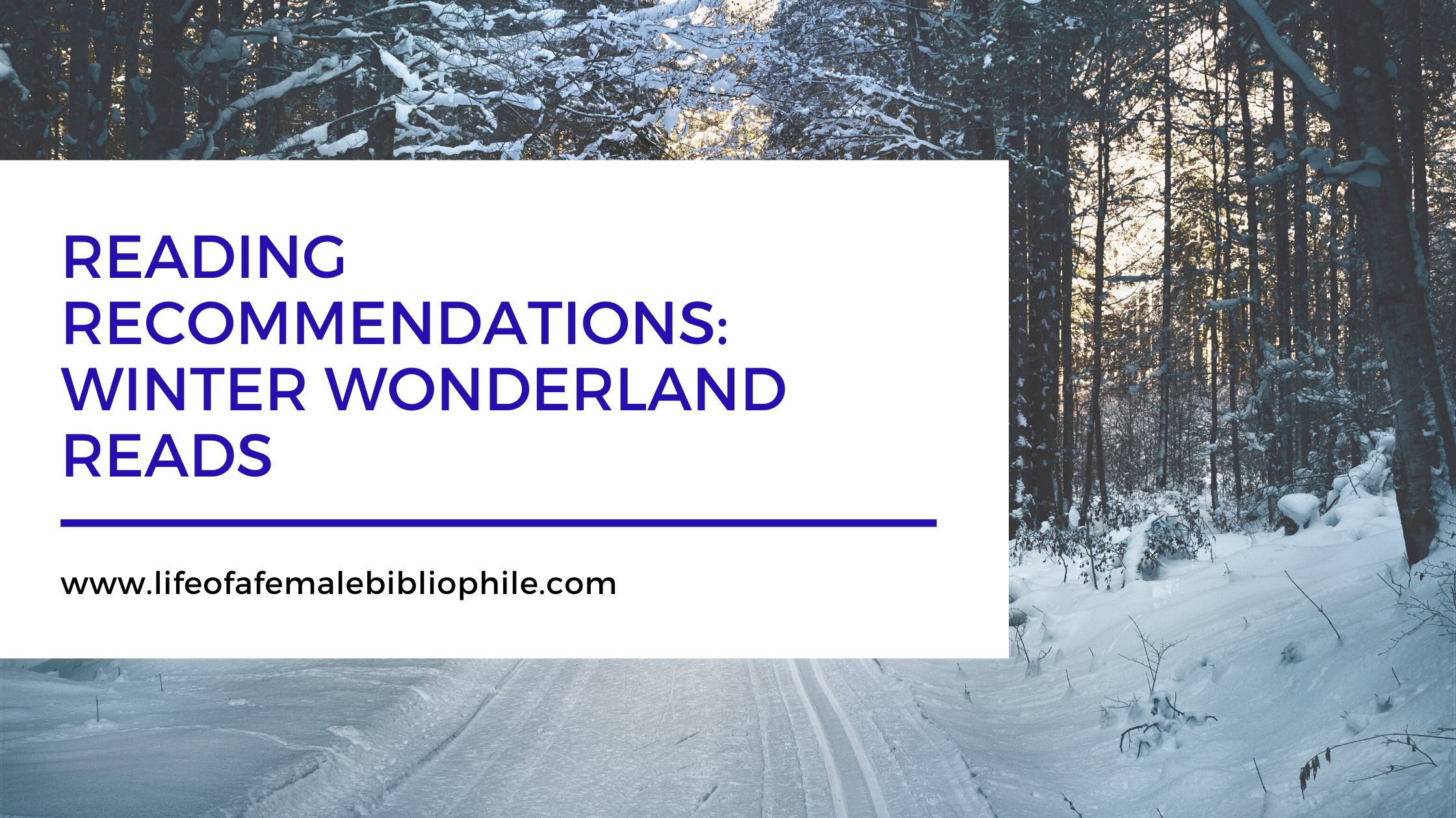 Reading Recommendations: Winter Wonderland Reads – Life of a Female ...